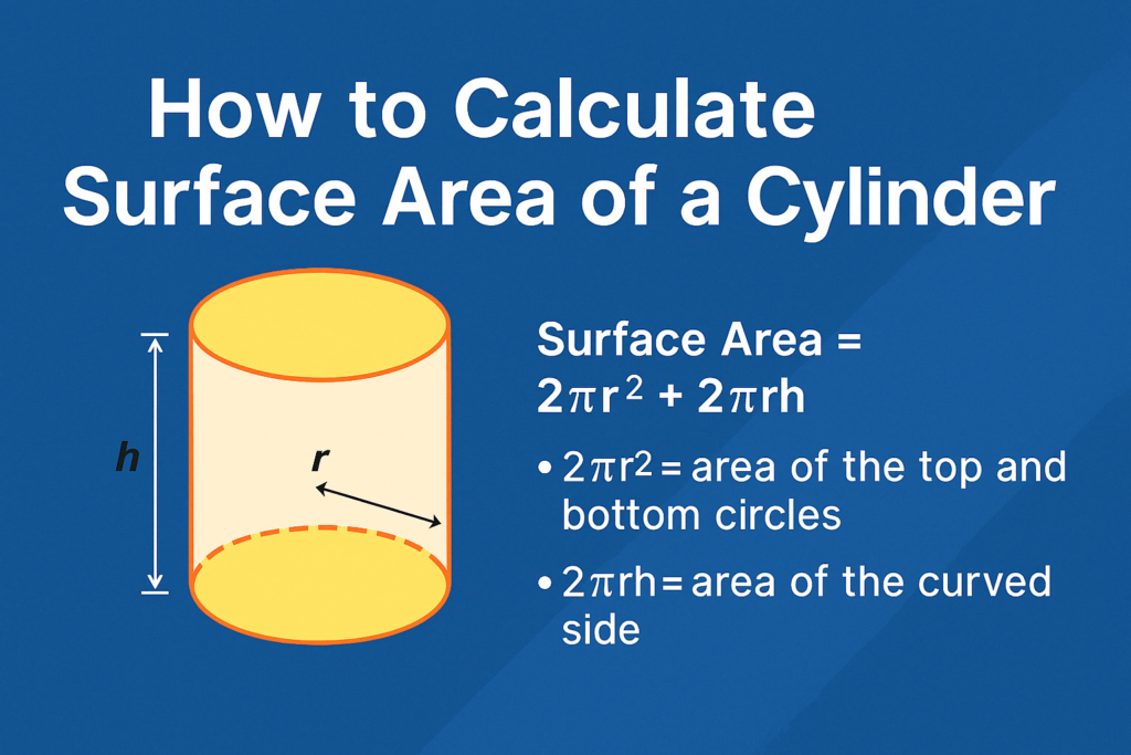 How to Calculate Surface Area of a Cylinder - OneSDR - 🛜 Technology