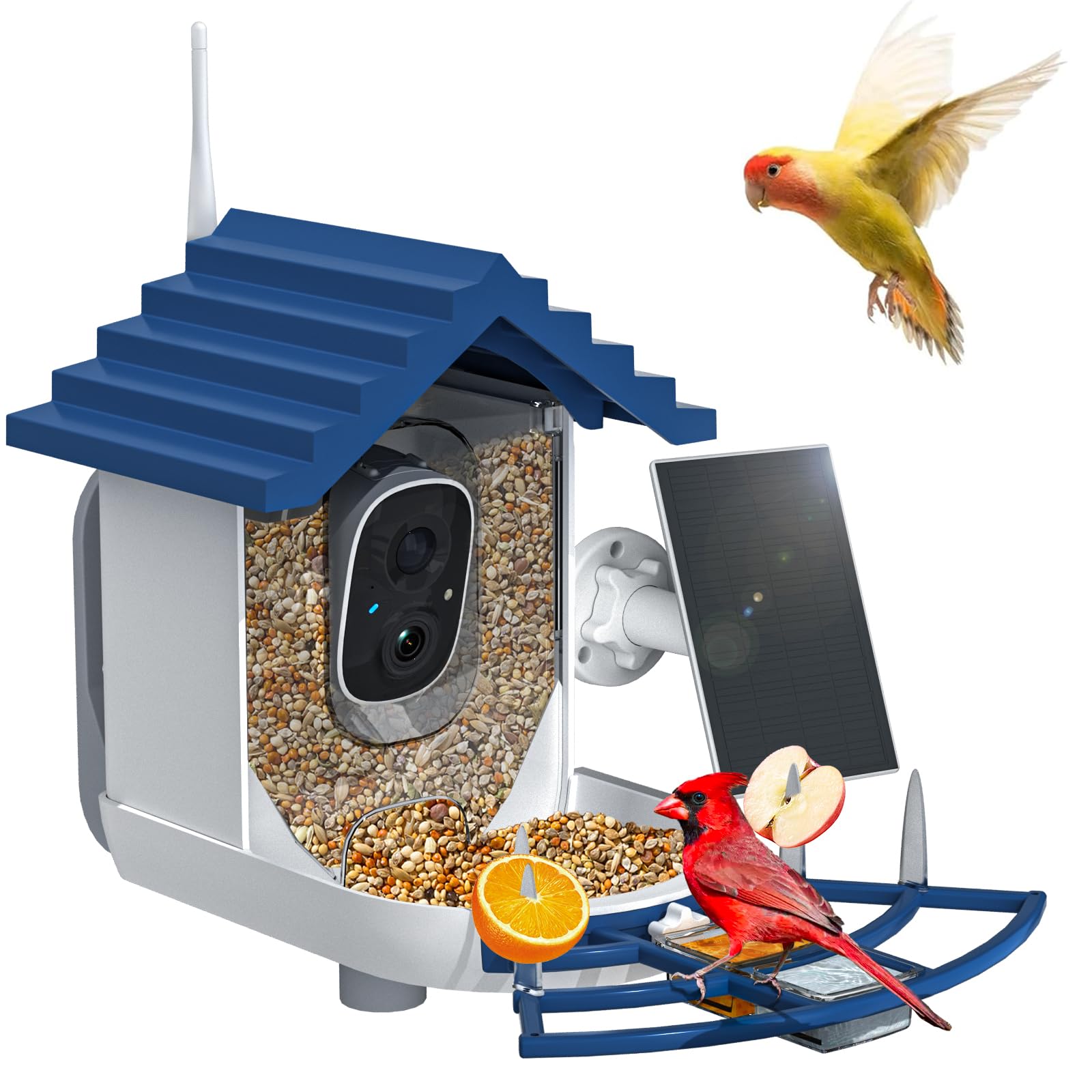 Best Wi Fi Bird Camera Models for Wildlife Watching in 2026 - OneSDR ...